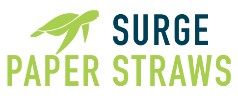 Surge Financial Projections – Surge Straws